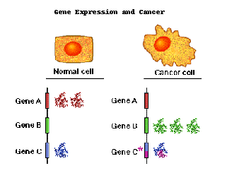 Understanding Genetics: For Wellness Professionals - Fit For Birth