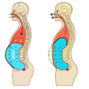 How to Breathe During the Pushing Phase of Childbirth - Fit For Birth