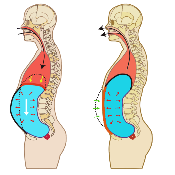 How to Breathe During the Pushing Phase of Childbirth - Fit For Birth